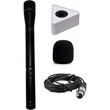 Star Home Shotgun Reporter Microphone for Mobile Interview | Journalist ...