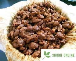 Buy Shudh Online Mahua Fruit/Indian Butter/mahua / Madhuca Longifolia ...