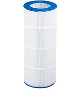 Amazon.com : Poolimpid Pool Filter Compatible with CC100, CCRP100 ...