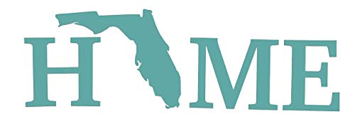 Amazon.com: Custom Vinyl Florida Home Decal, FL State Bumper Sticker ...