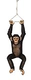 Hanging Monkey Statue | The Green Head