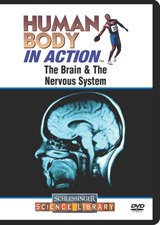 Amazon.com: Brain & the Nervous System, The : Movies & TV