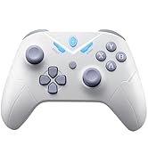Amazon.com: Thunderobot G80 1000HZ Wireless Gaming Controller for NS/PC ...