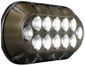 Amazon.com: OceanLED Amphibian A12 Pro Underwater Lighting - Ultra ...