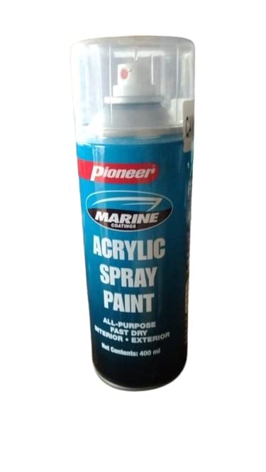 Tin Spray Paint for Wall, Cars, Bikes (Red, 400ml) : Amazon.in: Car ...