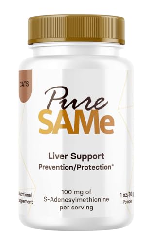 Liver Disease In Cats – The 15 best products compared - Wild Explained