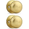 Probrico Gold Door Knob One Side 2 Pack, Fake Door Handles Dummy ...