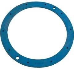 Amazon.com: Sta-Rite Large Light Niche Channel Gasket Replacement Parts ...