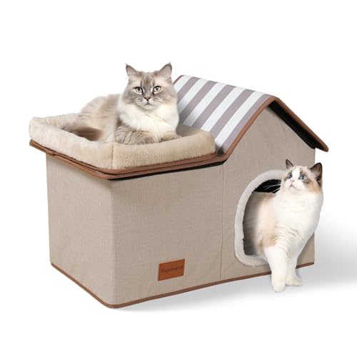 10 Best Indoor Cat Houses