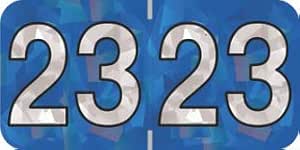 Amazon.com : 23 Year Aging Labels Holographic Rolls of 500 (DK Blue (2 ...
