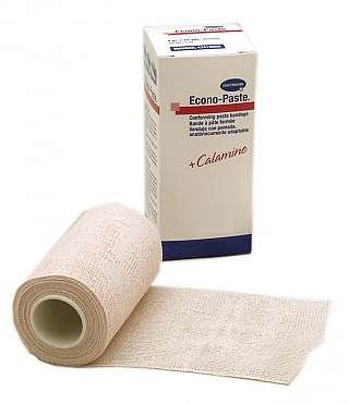 Amazon.com: Hartmann 47310000 Econo-Paste Latex-Free Conforming Zinc ...