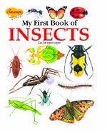 Buy My First Book of Insects Book Online at Low Prices in India | My ...