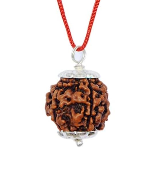 1 Mukhi Rudraksha Gol Dana 22mm Rudraksha One Face Rudraksha Ek Mukhi ...