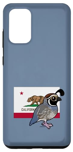 Meet the Cute & Charming California Quail | Birdorable Birds