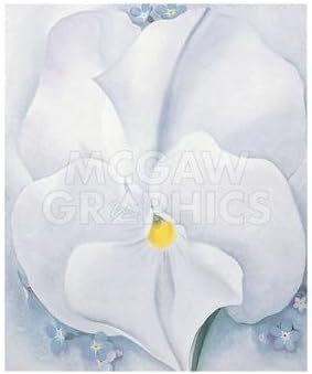 Amazon.com: Bruce McGaw Graphics White Pansy, 1927 by Georgia O'Keeffe ...