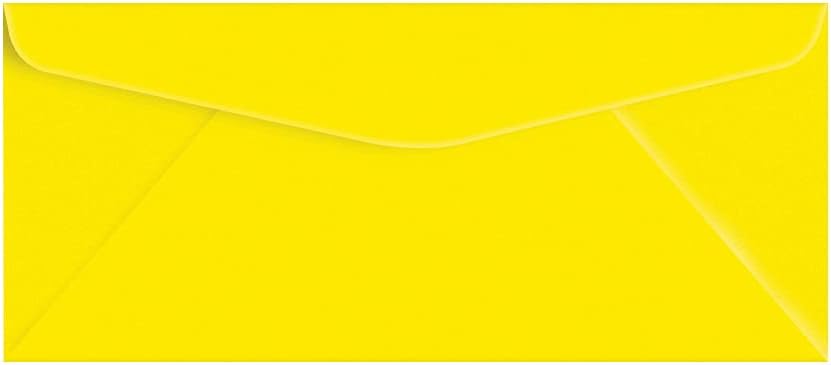 Amazon.com : Orange Bright Color #10 Envelopes - Great for Mailing ...