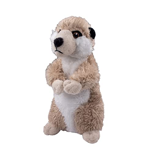 EcoBuddiez – Meerkat from Deluxebase. Small Soft Plush Animals made ...