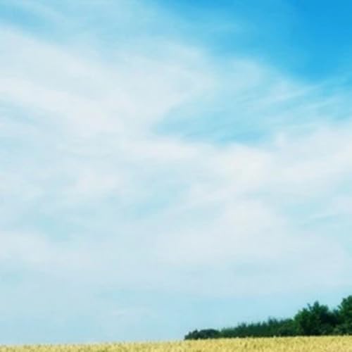 Play Bình Yên Thôi Nhé ! by FATHY MOHAMED ELSAWY ELWAER on Amazon Music ...