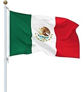 Amazon.com : Mexican Flag Small Mini Mexico Garden Flags 12x18 Double ...