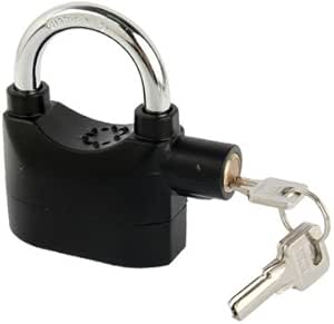 Amazon.com: Pggpo Stainless Steel 70dB Alarm Security Lock (Black ...