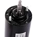 Amazon.com: Small Wind Turbine Generator 36W 40W 12-24V DC Permanent ...