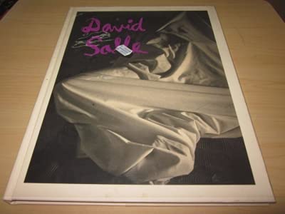 DAVID SALLE: Photographs from 1980 to 1990: David Salle, with an ...