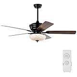 Top 10 Feit Electric Ceiling Fans of 2023 - Best Reviews Guide