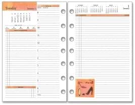 Amazon.com: DRN481925 - Day Runner PRO Inspired Planner Refill