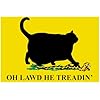 Amazon.com: Chonky Cat, Oh Lawd He Treadin', Funny Stickers for Laptop & Water Bottle, Don't ...