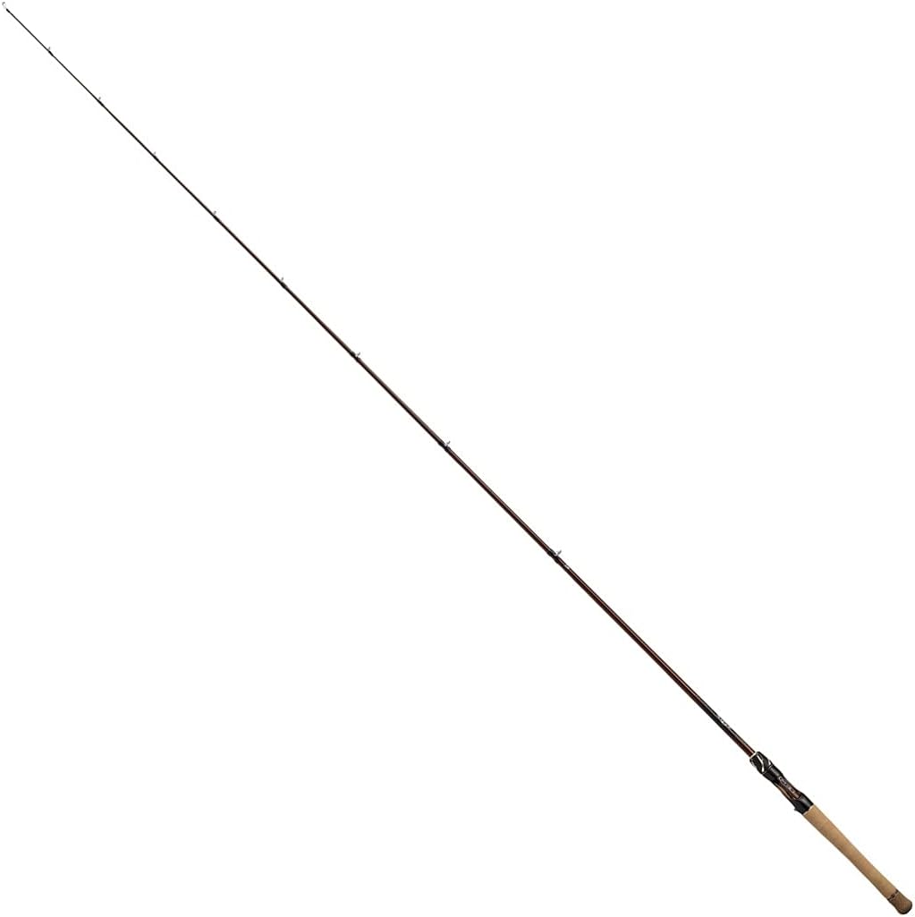 Amazon.com : Daiwa 21 Steez SC C66ML-G Baitcasting Model : Sports & Outdoors