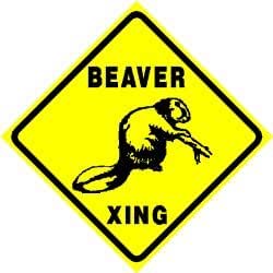 Amazon.com: Texsign Beaver Crossing Sign * Street Animal Zoo : Home ...