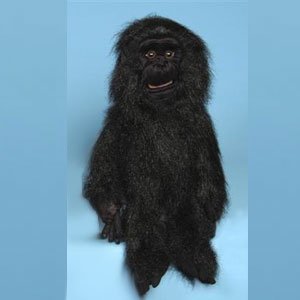 Buy Sunny Toys 24" Gorilla Hand Puppet Online at Low Prices in India ...