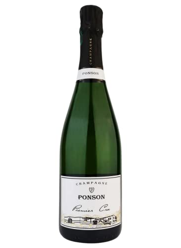 Quali sono i diversi tipi di Champagne e quale scegliere?