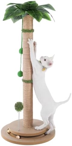 Amazon.com : LIFLIX Palm Tree Cat Scratching Post, Sturdy 34 inches ...