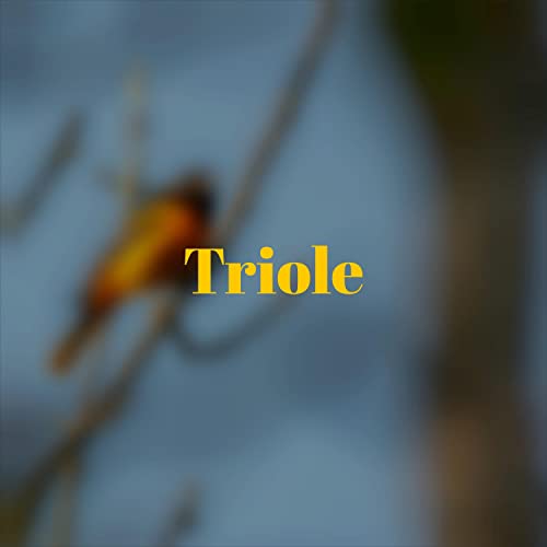 Play Triole by VARIOUS ARTISTS on Amazon Music