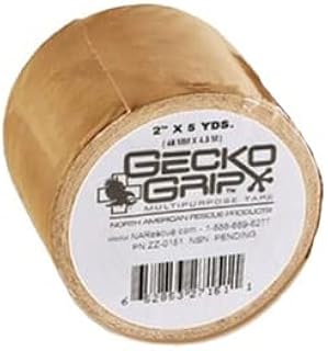 The Science Behind How Geckos Cling To Walls: Explained | PetShun