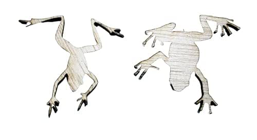 Amazon.com: Unfinished Frogs Wood or Wooden Cutouts Set : Home & Kitchen