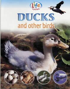Life Cycles of Ducks and Other Birds (Life Cycles): Morgan, Sally ...