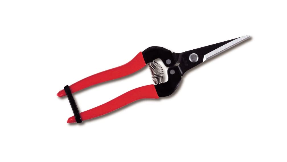ARS Fruit Picking Shears - 190mm | Garden Scissors for Fruit Picking ...