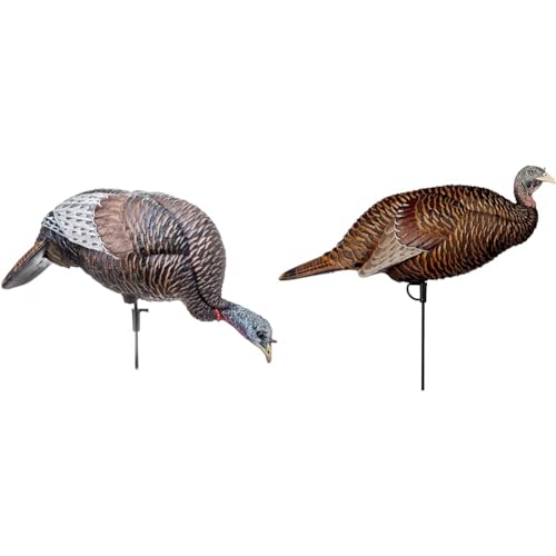Flextone 2pc Thunder Chicken Hen Turkey Decoys - Feeding & Breeder Pose ...