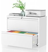 Amazon.com: Pataku 2 Drawer File Cabinet with Lock, 18" D Locking File ...
