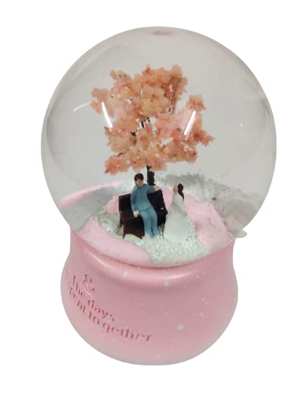 Buy Prezzie Hub Couple Glass Snow Globe Showpiece with Colorful Lights ...