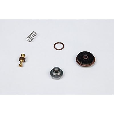 Amazon.com: d55146 regulator repair kit