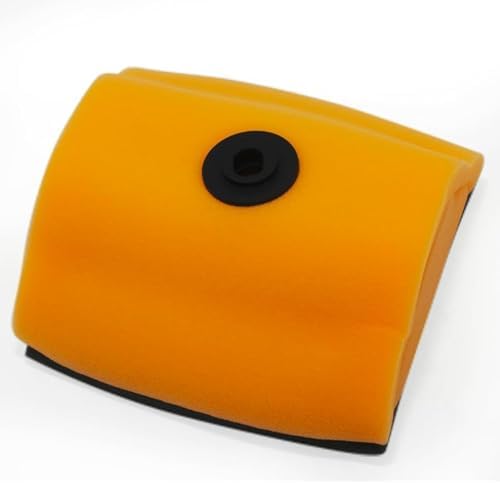 Amazon.com: Air filter for Honda replace air filter for Honda CRF1000L ...