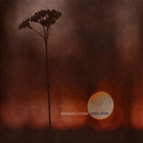 Amazon Music - Entangled SystemのDesolation - Amazon.co.jp