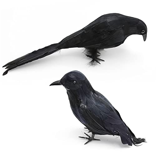 37 Crow Halloween Decor Inspirations for Fall
