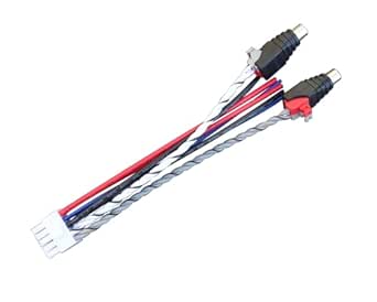 Amazon.com: Anyqinsog Power Input Speaker Wire Harness 10 Pin Plug RCA ...