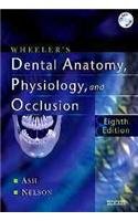 Wheeler's Dental Anatomy, Physiology and Occlusion : Amazon.es: Libros