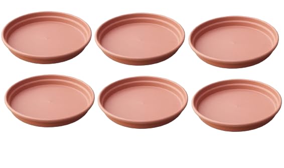 NEXSO Flower Pot Plant Saucer Base Plate Planter Bottom Plate/Gamla ...