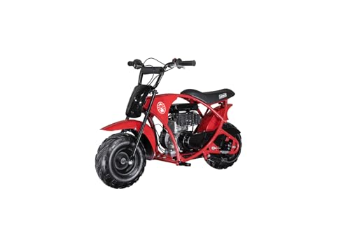 10 Best Mini Bikes for Adults That Guarantee Fun and Adventure